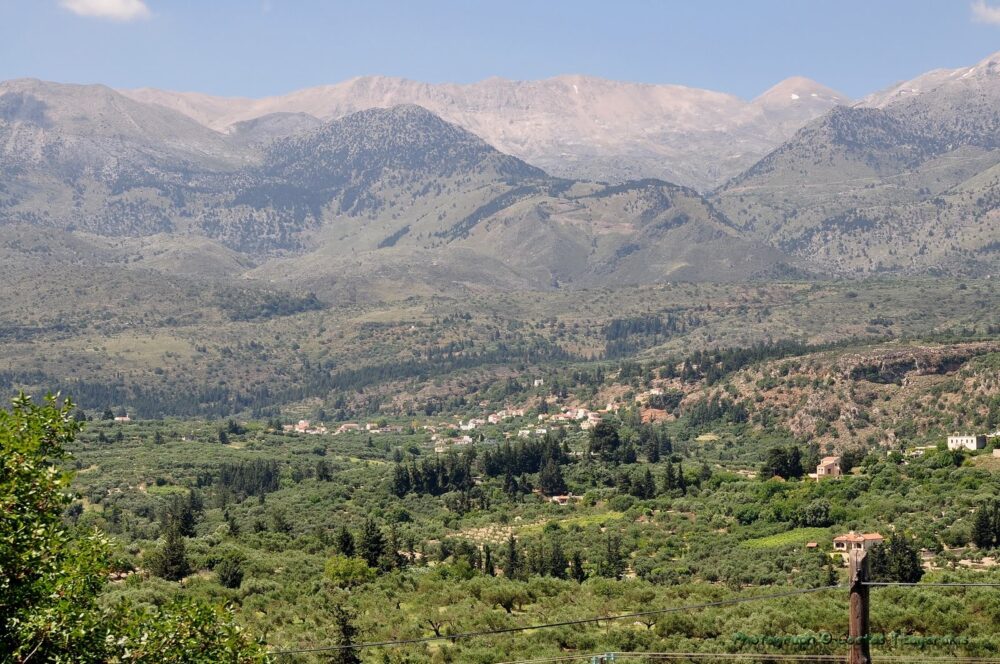 ΡΙΖΙΤΙΚΑ ΤΡΑΓΟΥΔΙΑ